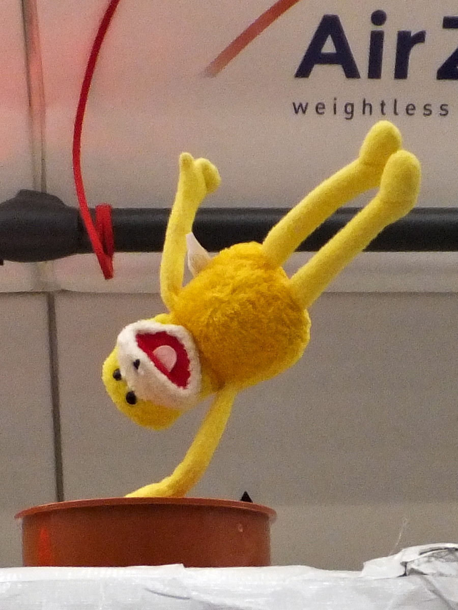 Flat Eric | Staubige Plasmen unter Schwerelosigkeit